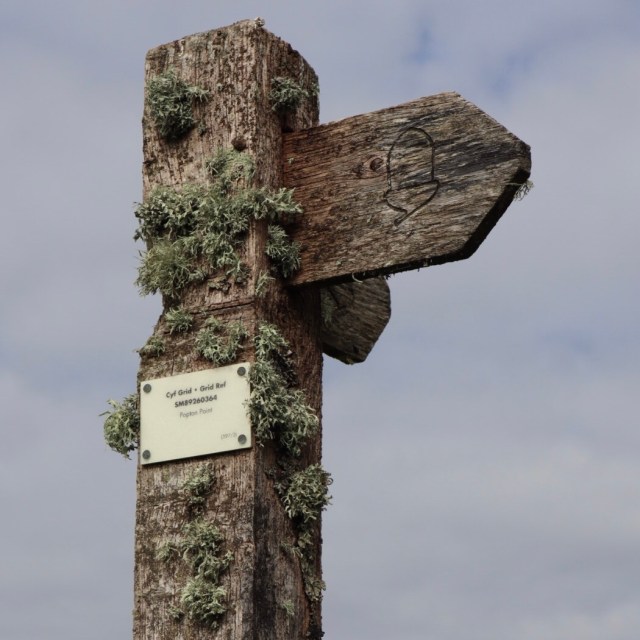 Pembrokeshire Walk 12 ~ East Angle Bay to Pwllcrochan – Short Walks ...