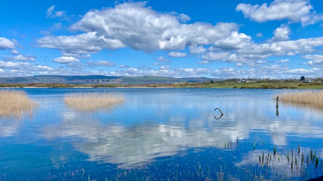 Kenfig to Margam Castle – Short Walks Long Paths