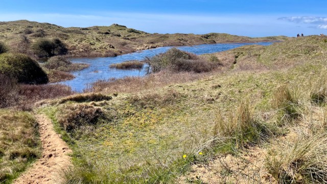 Kenfig to Margam Castle – Short Walks Long Paths